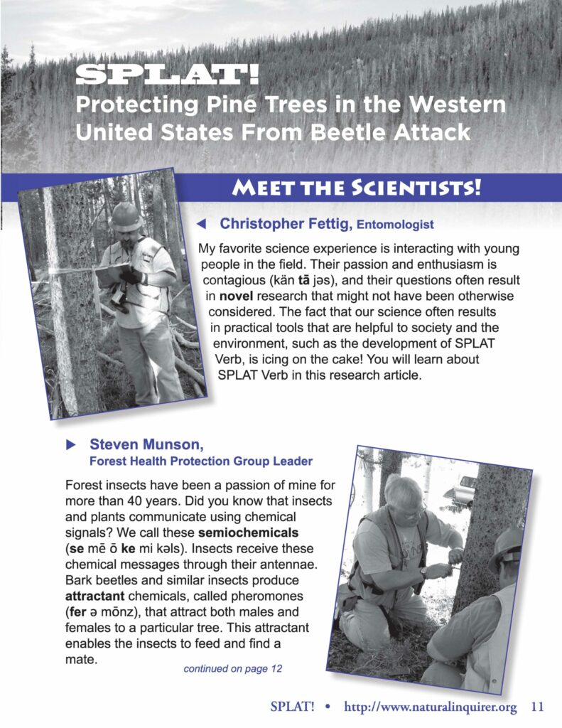 Lesson Plan - Visual Thinking Strategy - Natural Inquirer