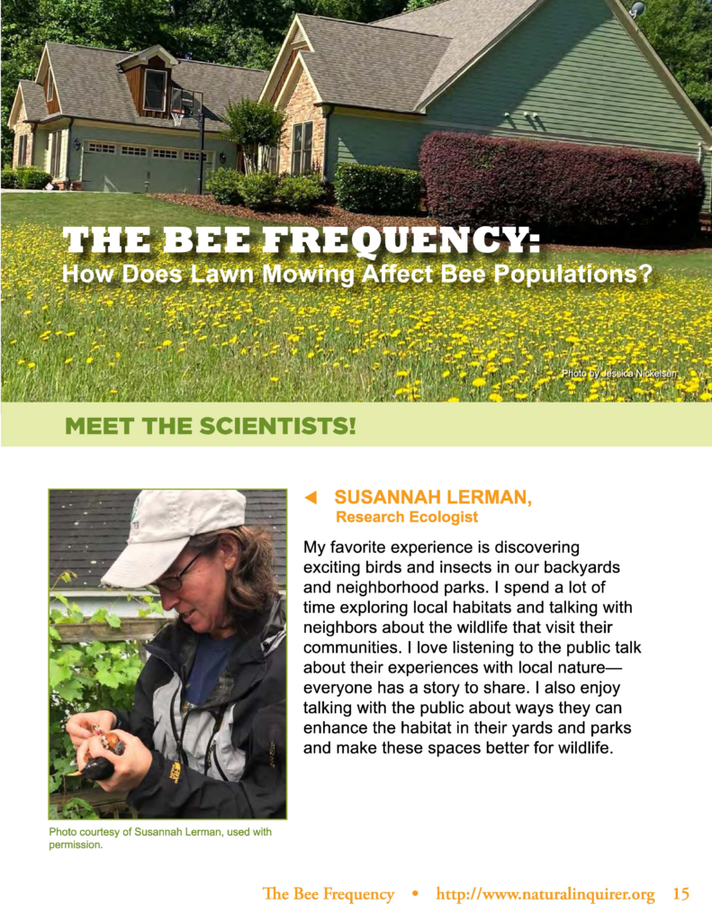 The Bee Frequency: How Does Lawn Mowing Affect Bee Populations ...