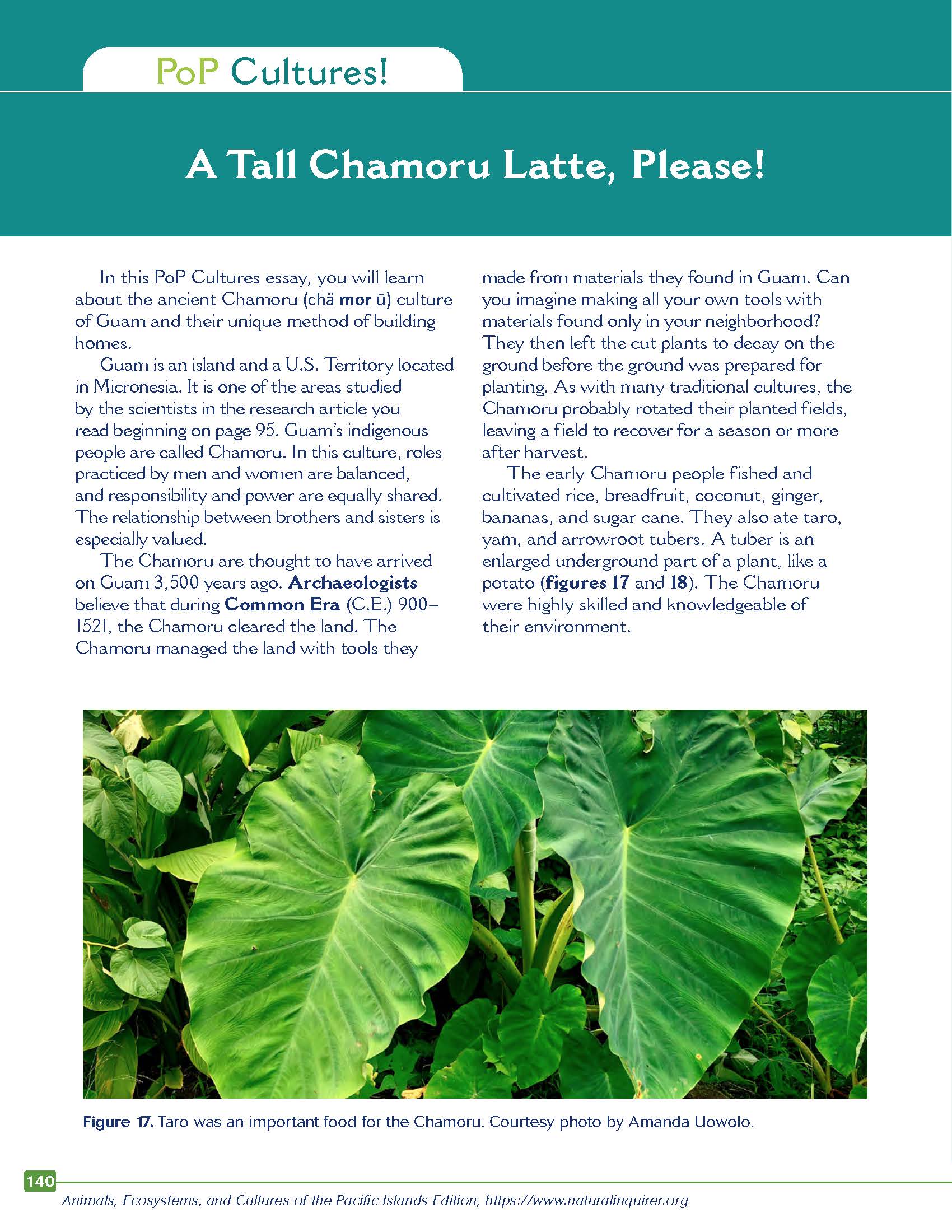 A Tall Chamoru Latte, Please! - Natural Inquirer