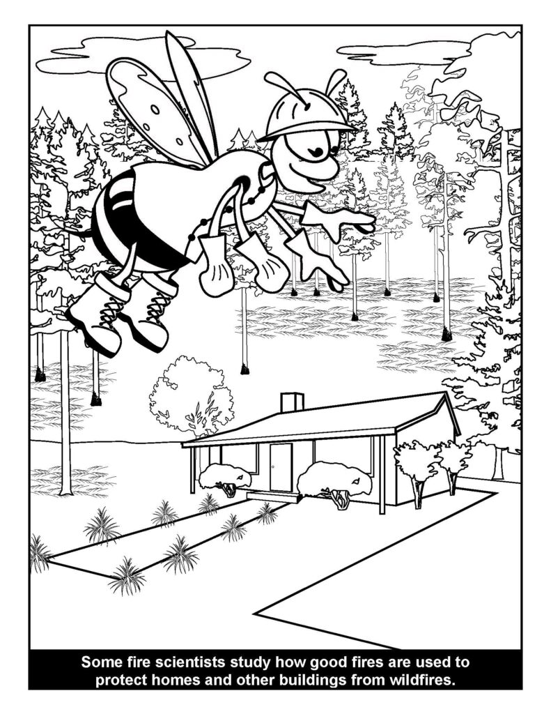 Bee A Fire Scientist Coloring Book - Natural Inquirer