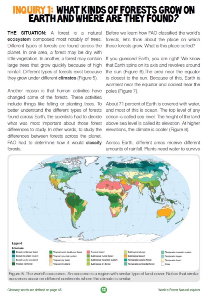 Forest Worksheet Educationcom New Forest Heritage Activity Pack