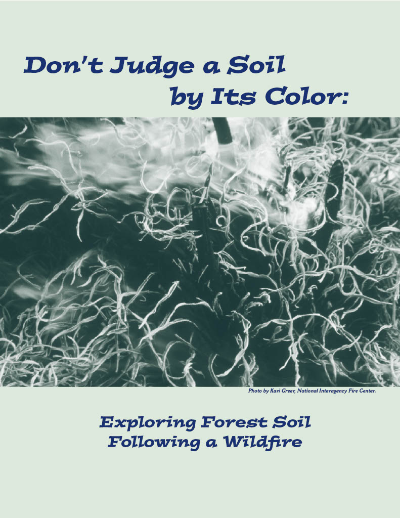Don't Judge a Soil by Its Color: Exploring Forest Soil Following a ...