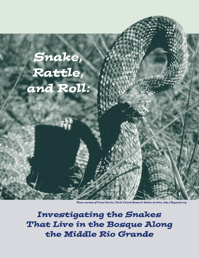 FACTivity - Snake, Rattle, and Roll - Natural Inquirer