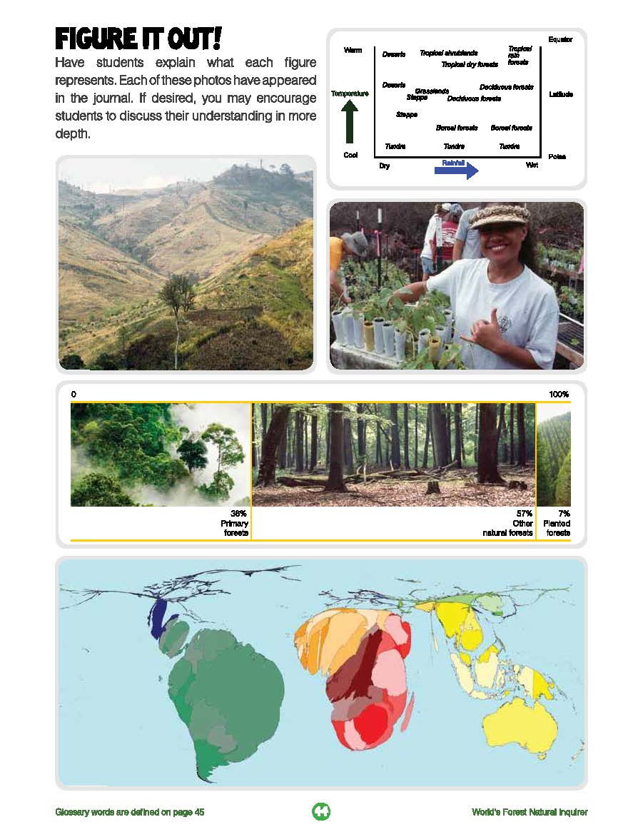 eyeChallenge - The World's Forest 2 - Natural Inquirer