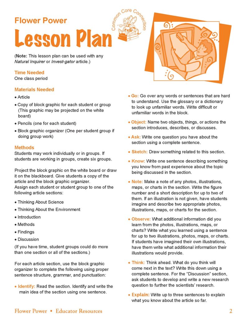 Lesson Plan - Block Graphic Organizer - Natural Inquirer