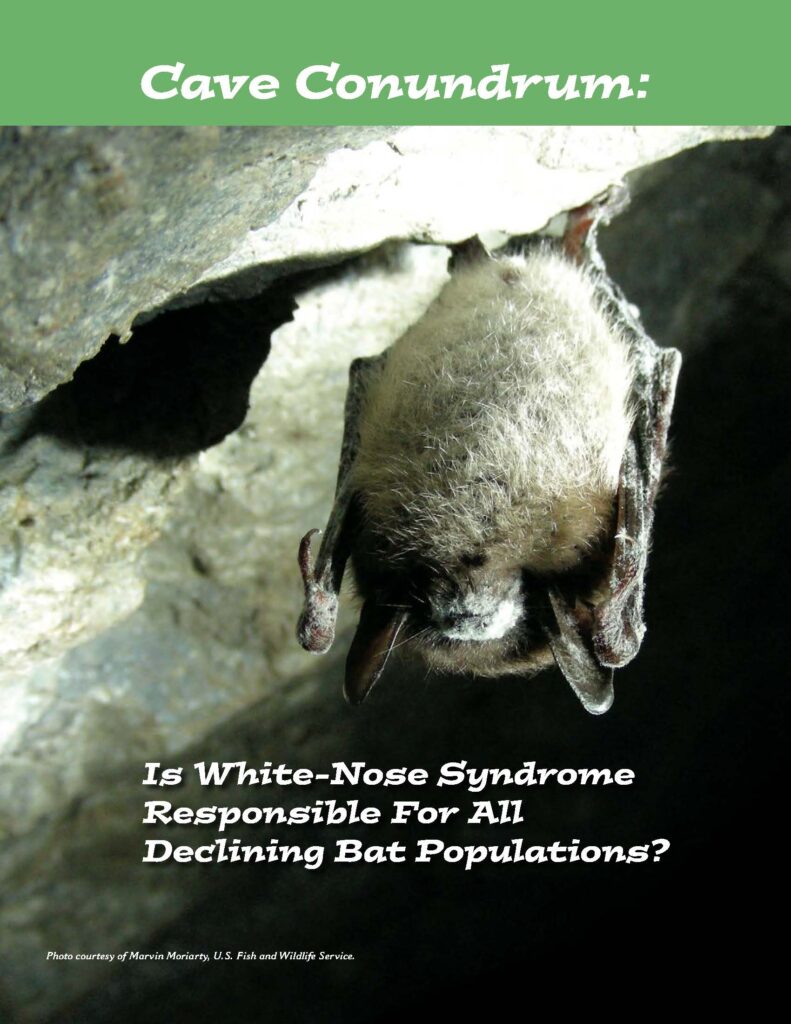 Cave Conundrum: Is White-Nose Syndrome Responsible for All Declining ...