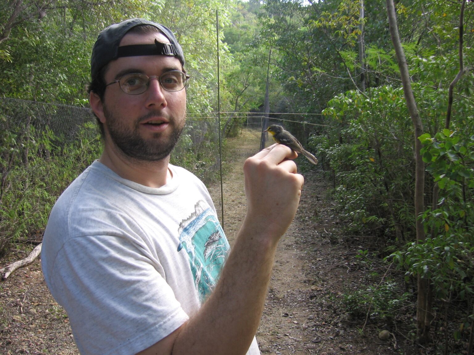 Conor McGowan - Natural Inquirer