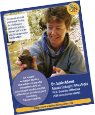 Homepage - Natural Inquirer