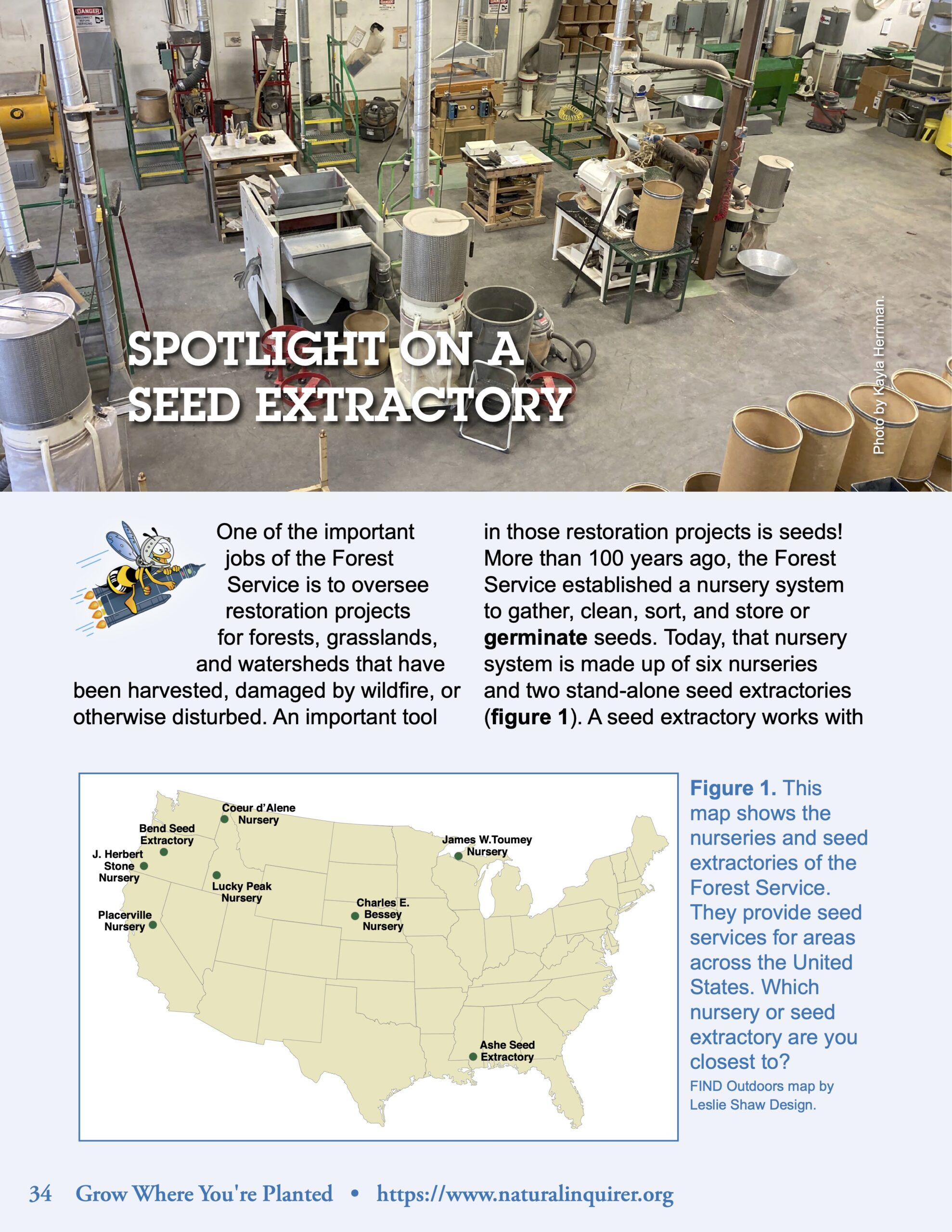 Spotlight - Seed Extractory - Natural Inquirer