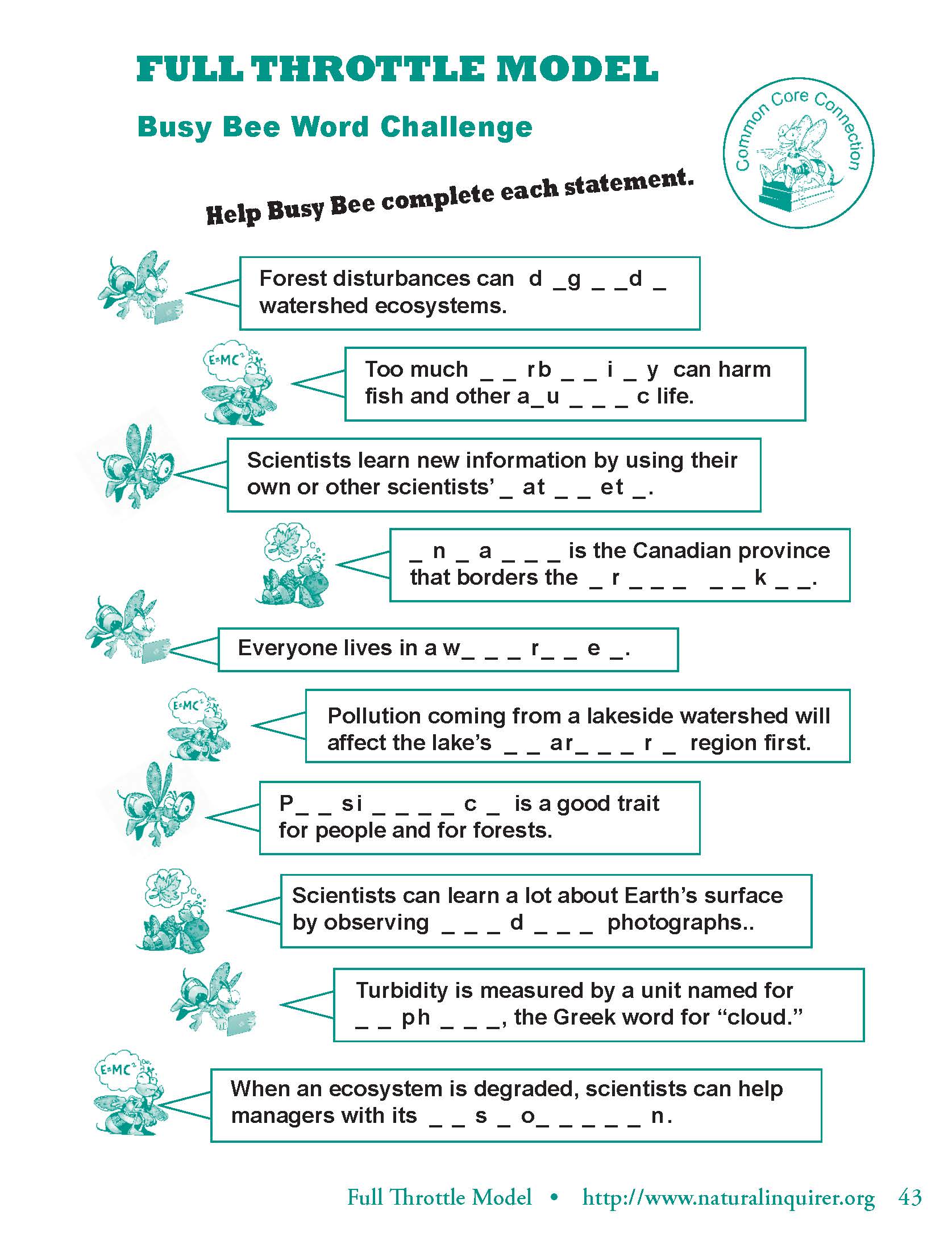 Busy Bee Word Challenge - Full Throttle Model - Natural Inquirer