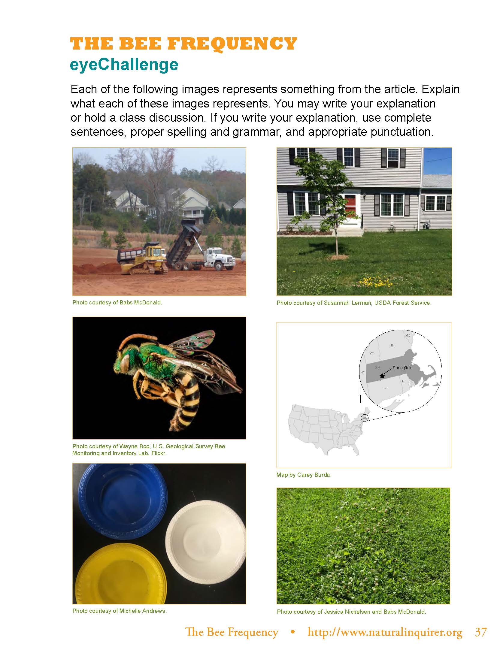 eyeChallenge - The Bee Frequency - Natural Inquirer