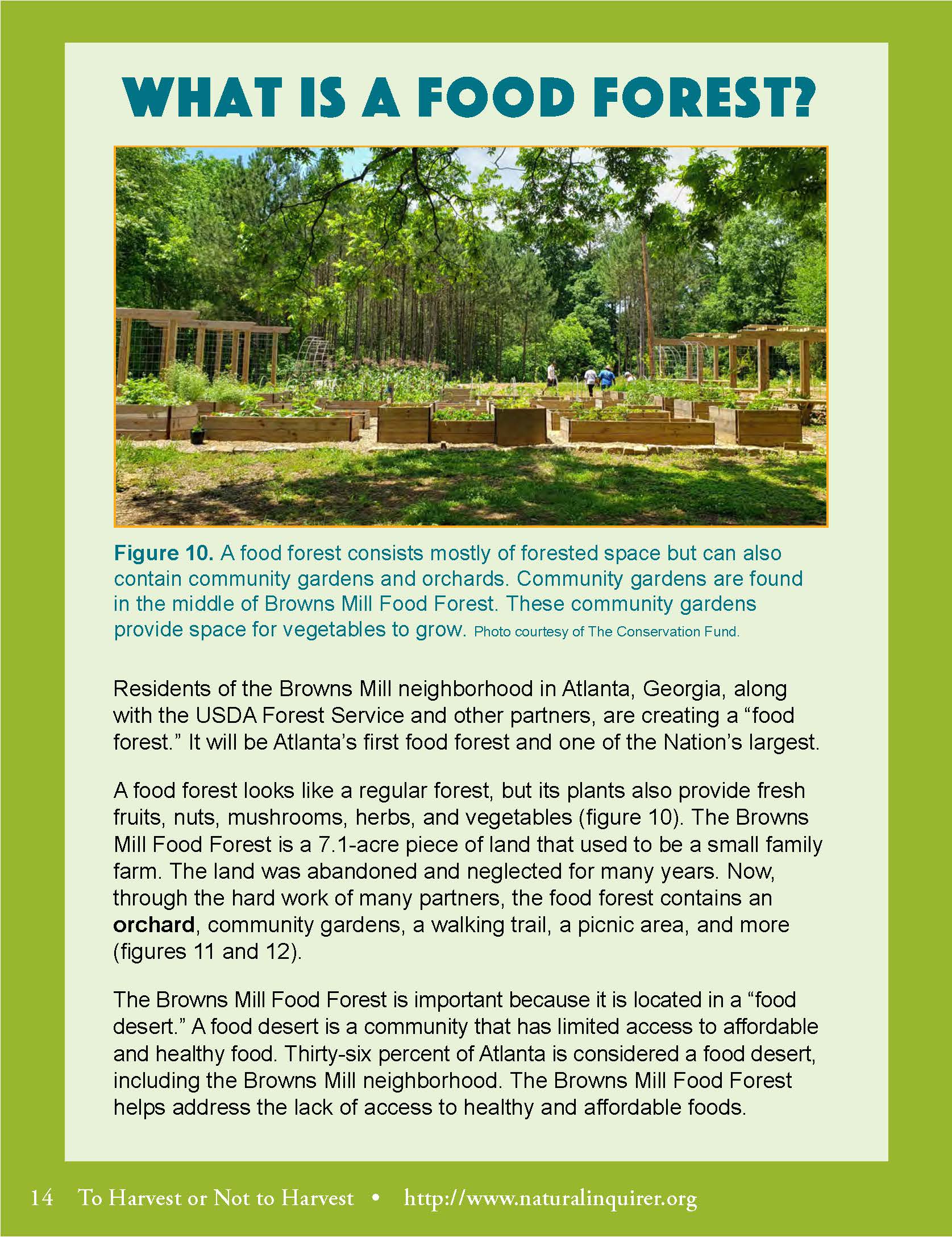 Spotlight - What Is a Food Forest? - Natural Inquirer