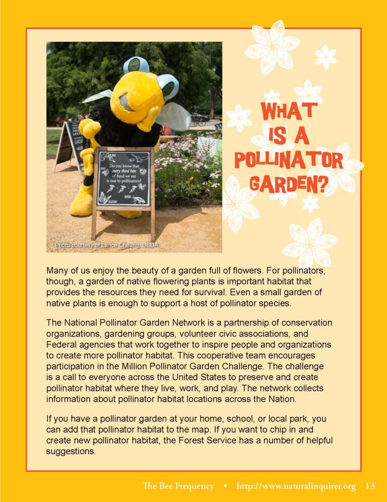 Spotlight - What Is a Pollinator Garden? - Natural Inquirer