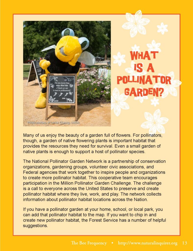 Spotlight - What Is a Pollinator Garden? - Natural Inquirer
