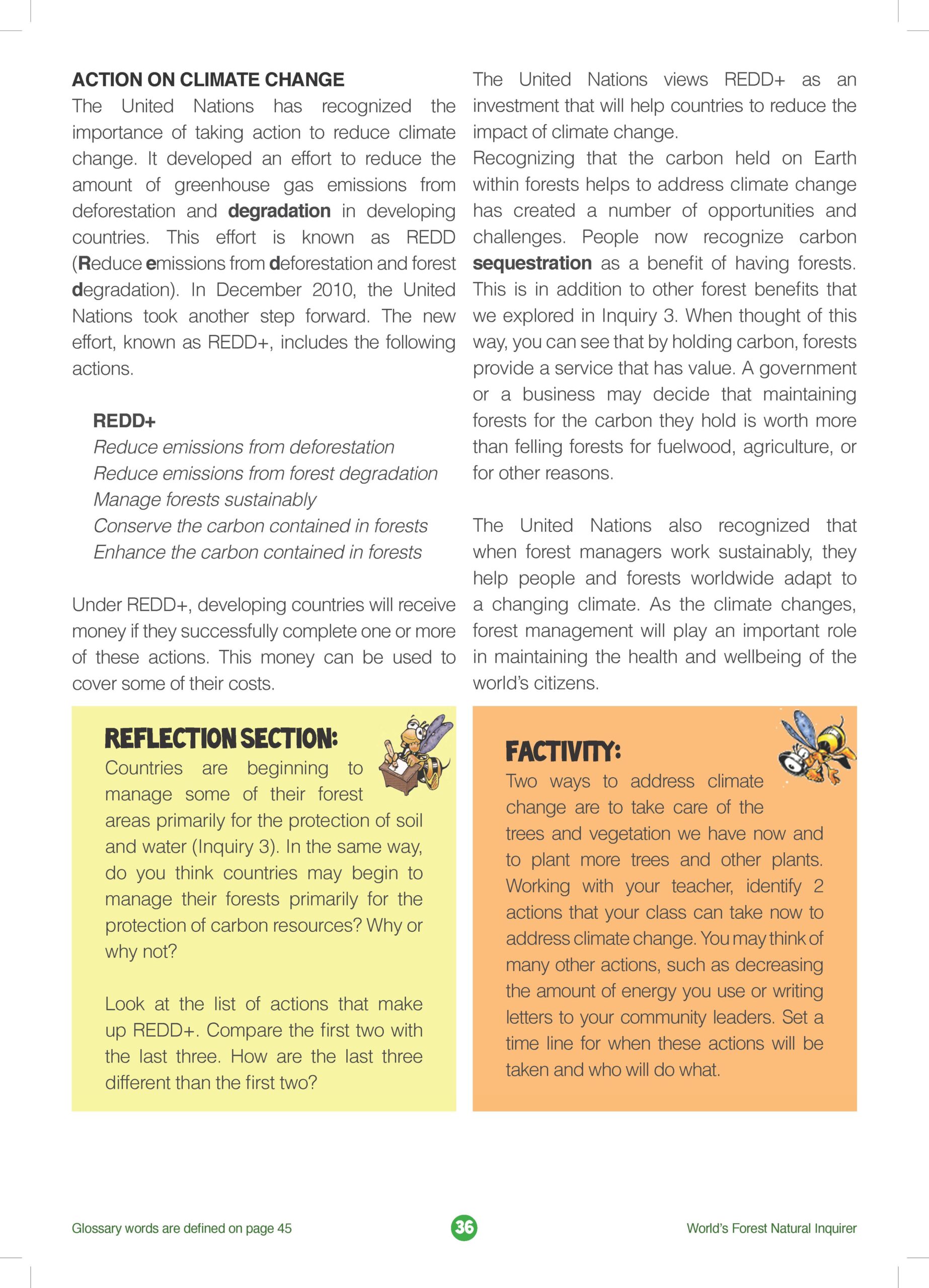 FACTivity - What Do the World's Forests Have to Do with Climate Change ...
