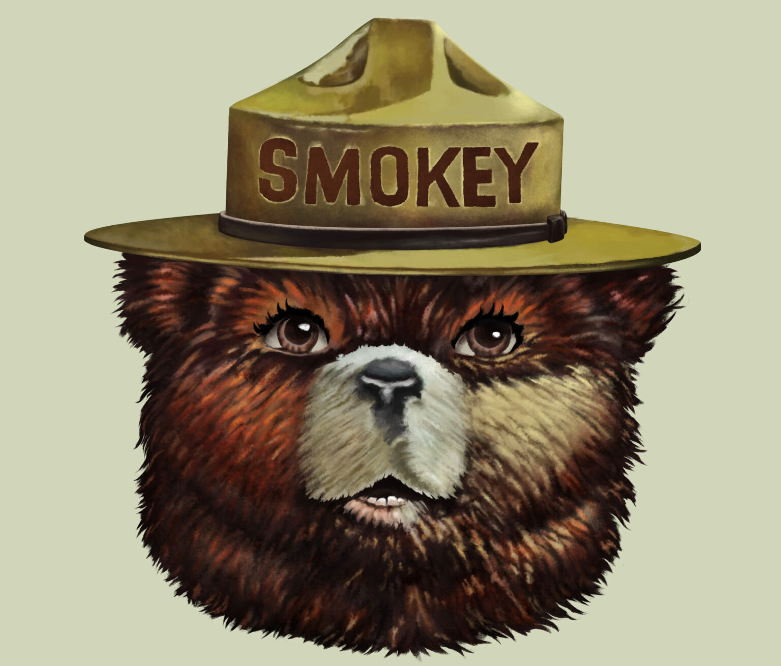 Smokey Bear - Natural Inquirer