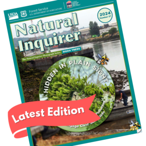 Homepage - Natural Inquirer