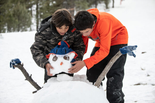 Homepage - Natural Inquirer