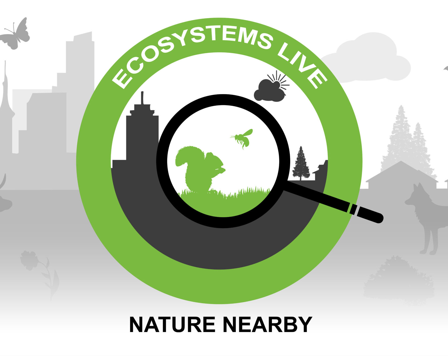 Homepage - Natural Inquirer