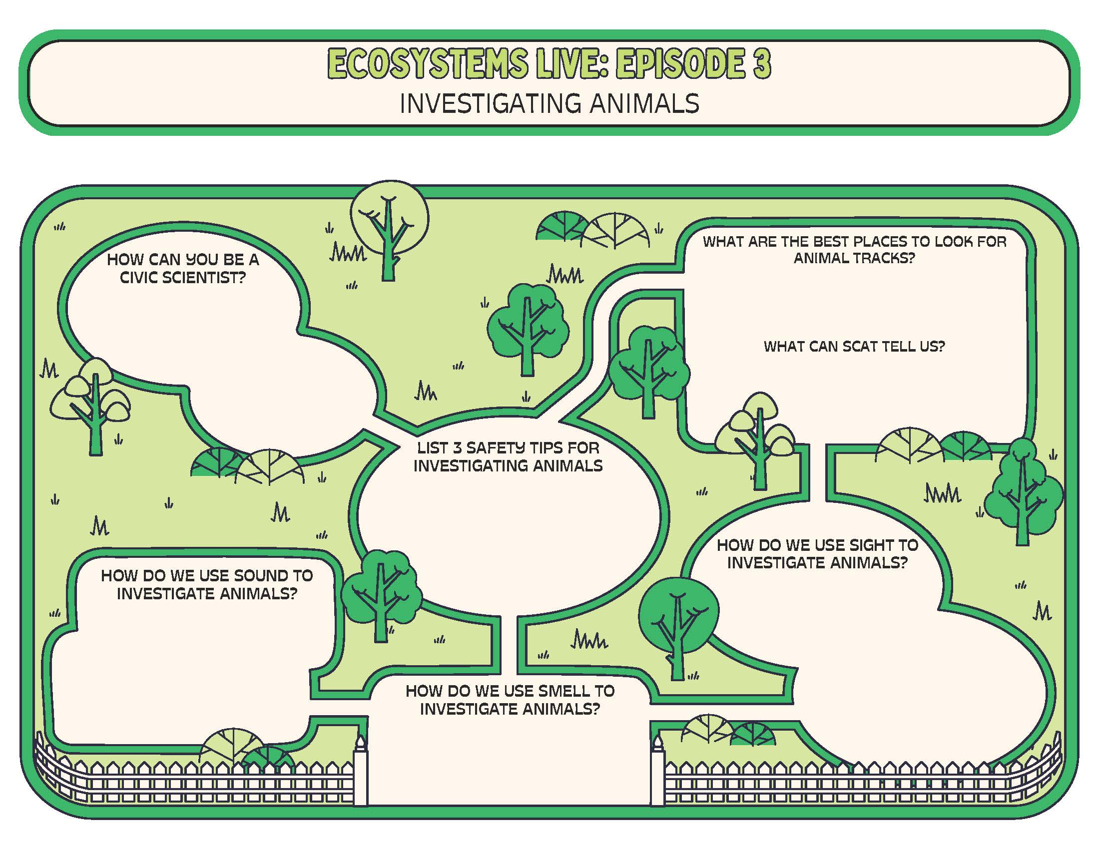 Ecosystems LIVE Episode 3 - Graphic Organizer - Investigating Animals ...