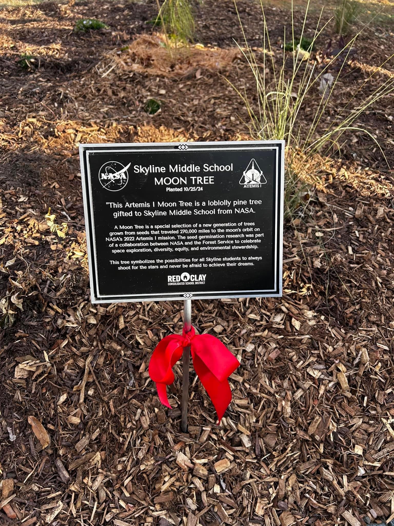 Artemis Moon Trees - Natural Inquirer