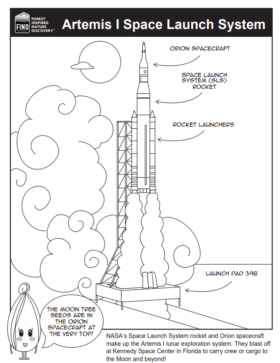 Artemis I Space Launch System Moon Tree Coloring Sheet - Natural Inquirer