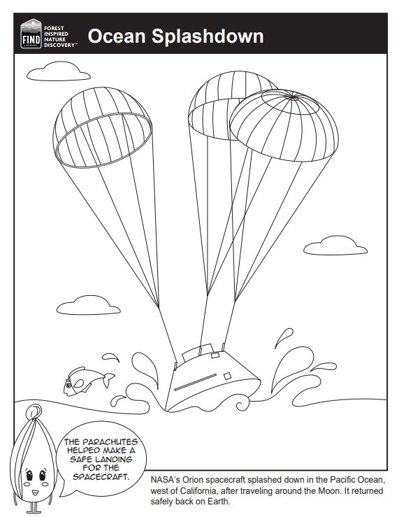 Ocean Splashdown Moon Tree Coloring Sheet - Natural Inquirer
