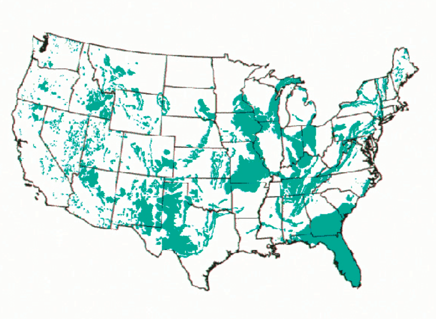 Tropic Topic: What Is Known About the Limestone Zone? - Natural Inquirer