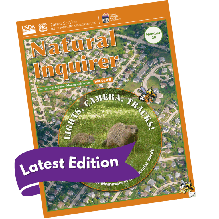 Coloring and Activity Books - Natural Inquirer